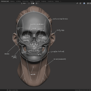 Modeling Fundamentals in Blender 4.0 Blender Việt Nam